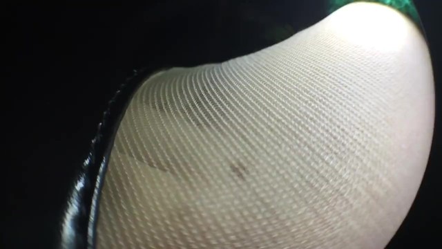 Giantess Shoe Ride 2