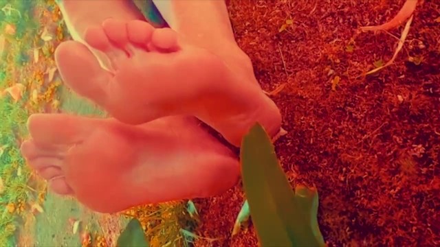 Priscilas Milf Mom Soles Joi